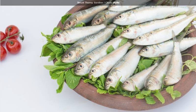 Freshtohome.com - Small Thorny Sardine / Chala / Mathi now available
