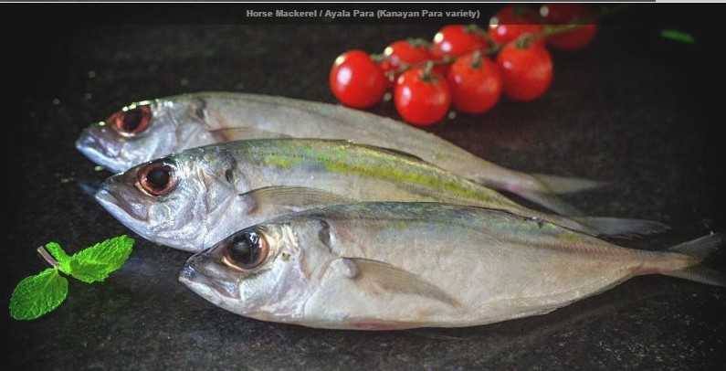 Horse Mackerel / Ayala Para (Kanayan Para variety) - Freshtohome Blog