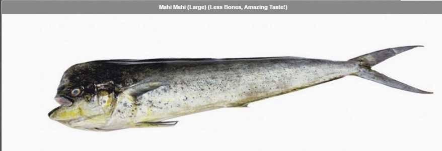 Mahi Mahi - Freshtohome Blog