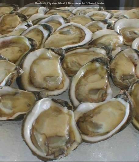 Medium Oyster Meat / Muru-irachi - Freshtohome Blog