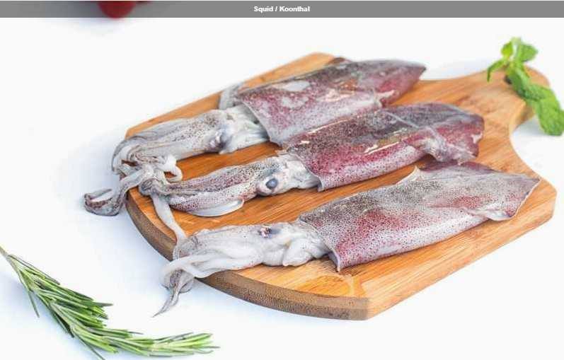 Squid / Koonthal - Freshtohome Blog