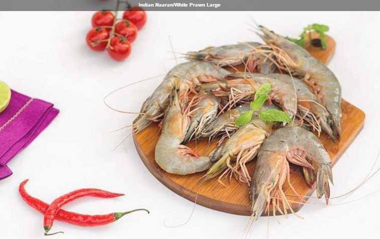 White Prawns / Indian Naaran - Freshtohome Blog