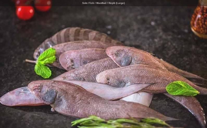 sole Archives - Freshtohome.com