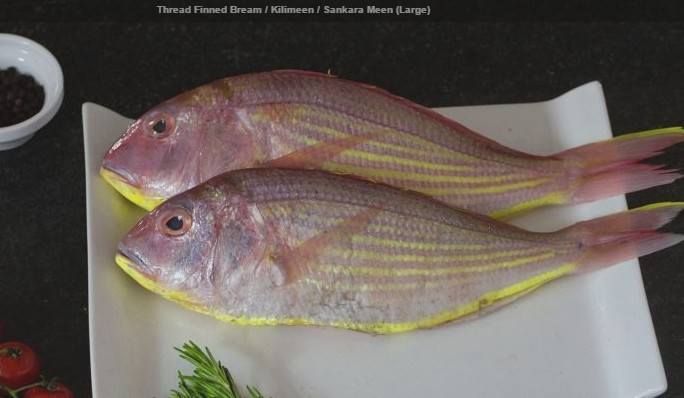Thread Finned Bream / Kilimeen / Sankara Meen - Freshtohome Blog