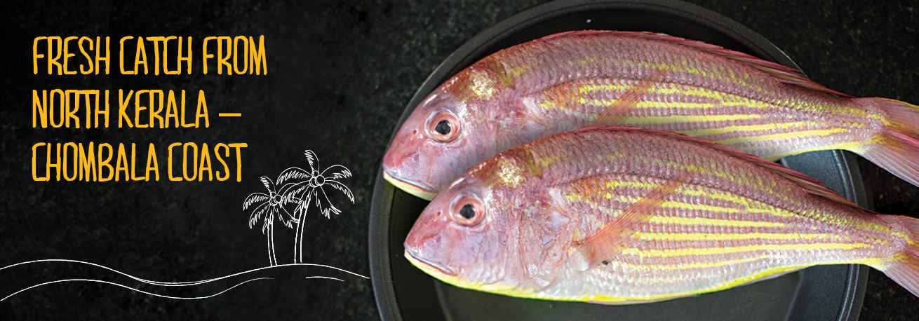 Thread Finned Bream / Pink Perch / Kilimeen (Small) - Freshtohome Blog